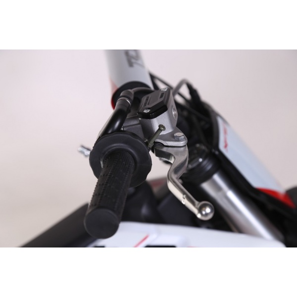 Dirtbike XF 110cc TCB BIKE - Insane-parts.com